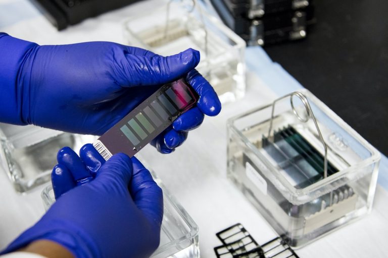 Does Alcohol Show Up On A Drug Test SHORELINE Sober Living does-alcohol-show-up-on-a-drug-test-shoreline-sober-living
